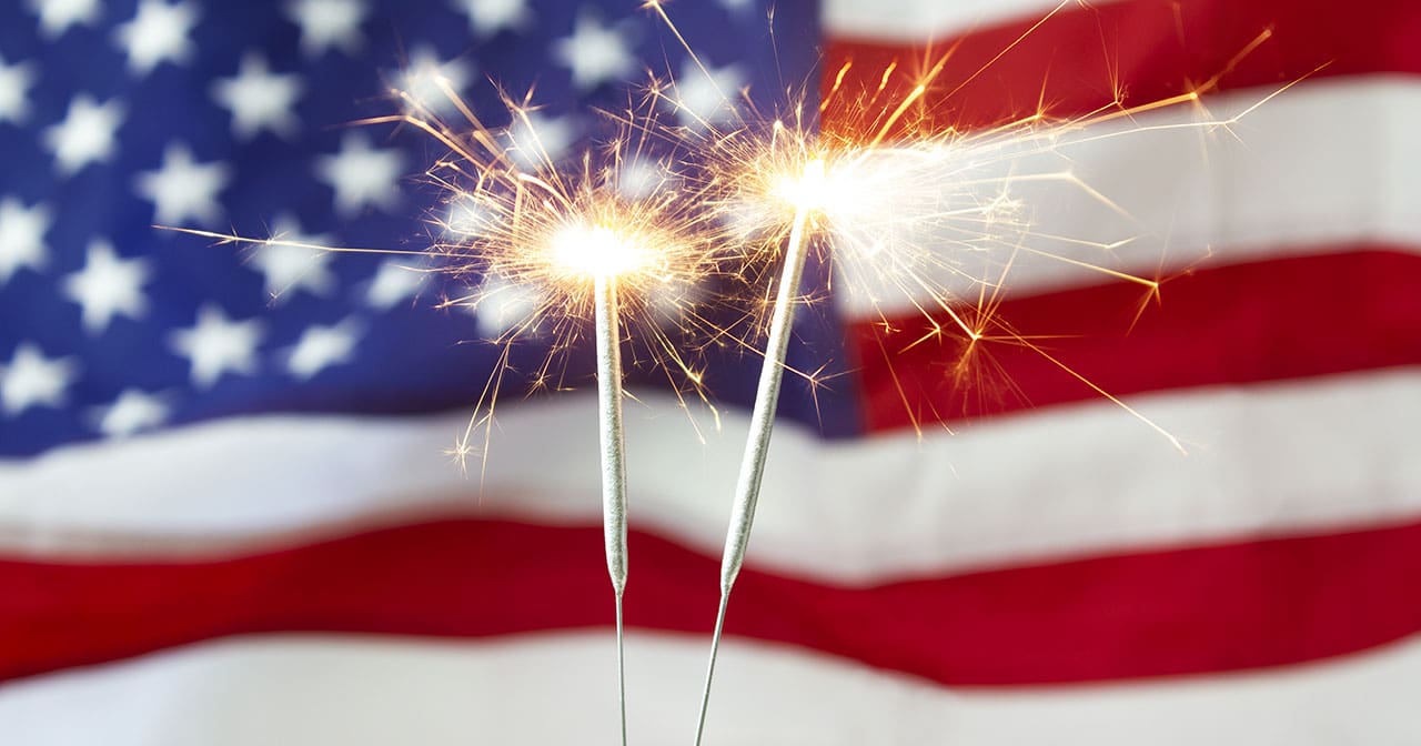 A Day to Celebrate Our Freedom by David Cerullo | Holidays ...