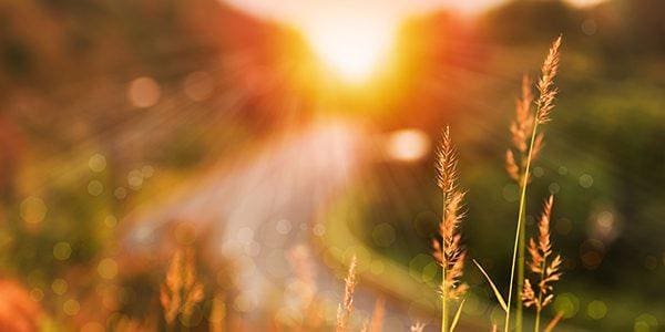 Good, Kind, and Faithful | Daily Devotional | Inspiration Ministries