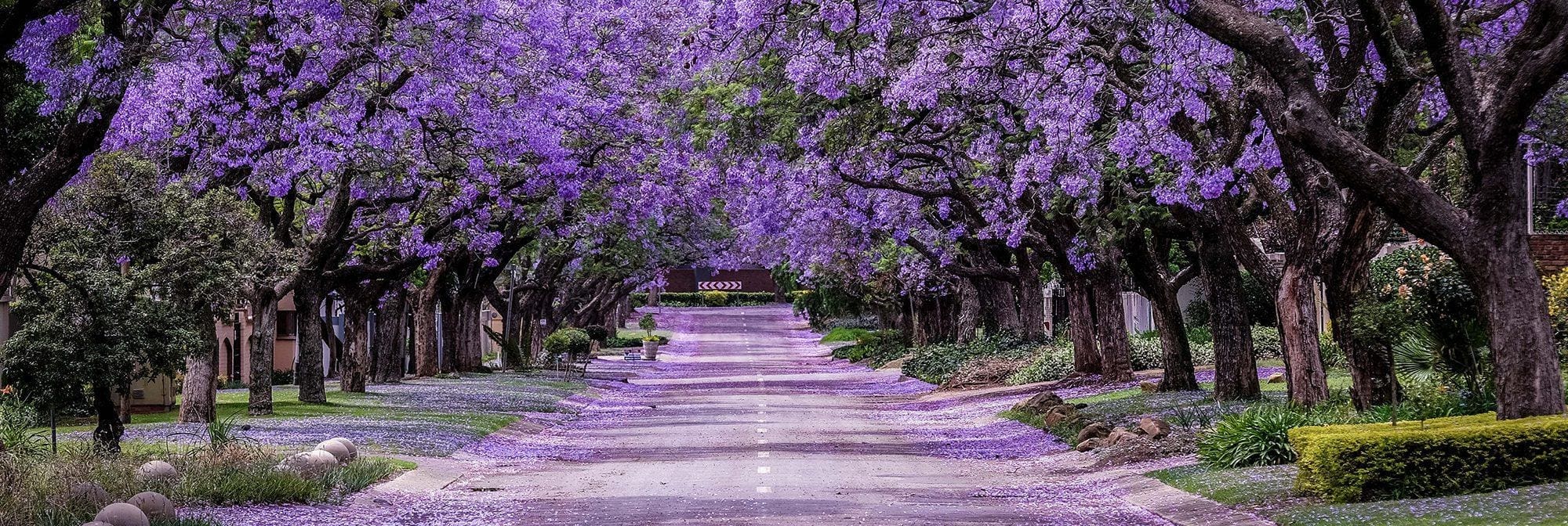 Purity, Dedication, Focus | Daily Devotional | Inspiration Ministries