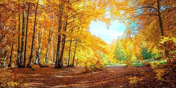 Perfected Love | Daily Devotional | Inspiration Ministries