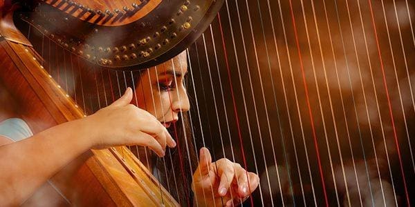 Many Harps | Daily Devotional | Inspiration Ministries