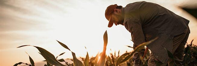 Diligent in Our Labor| Daily Devotional | Inspiration Ministries