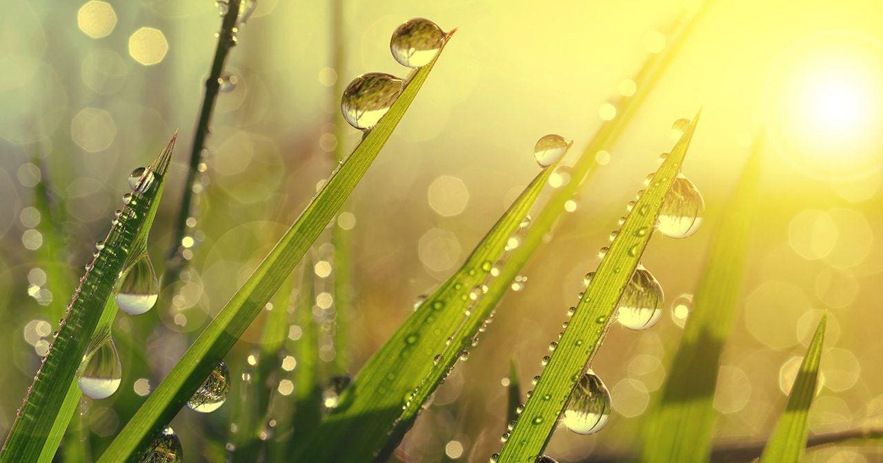 A Simple and Pure Faith | Inspiration Ministries