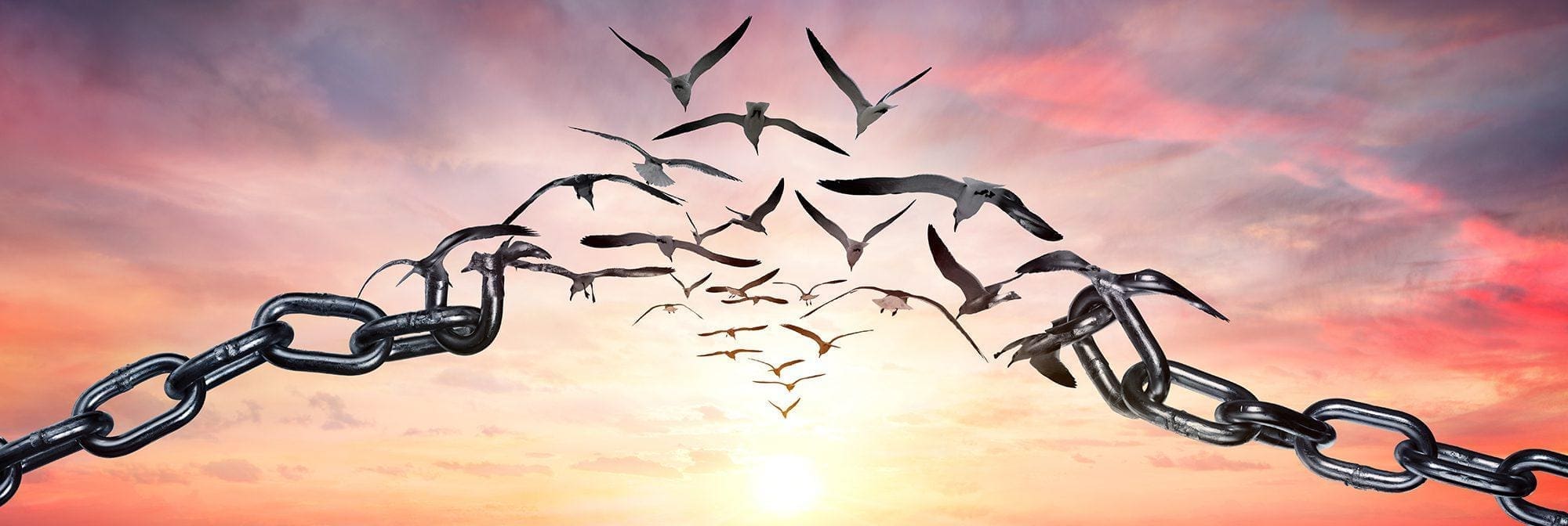 Forgiveness – Let It Go | Christian Articles | Inspiration Ministries