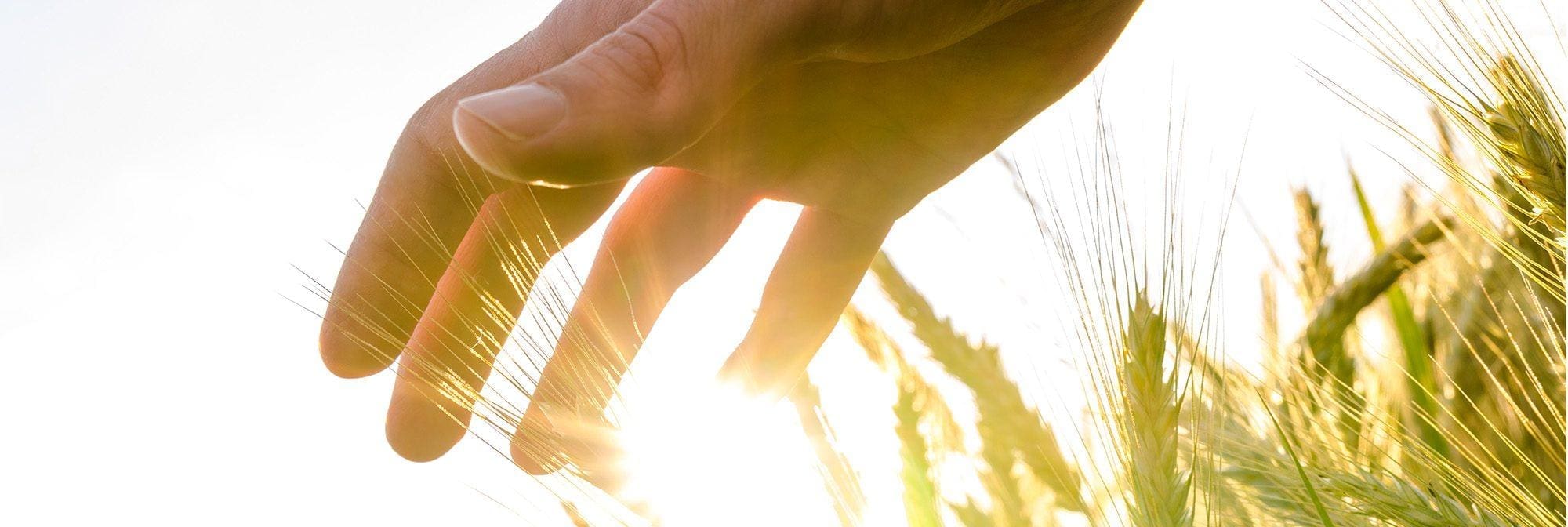 Receiving the Power to Prosper | Christian Articles | Inspiration ...