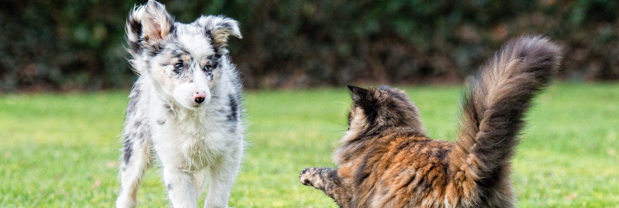 Get Your Fight Back! | Inspiration Ministries