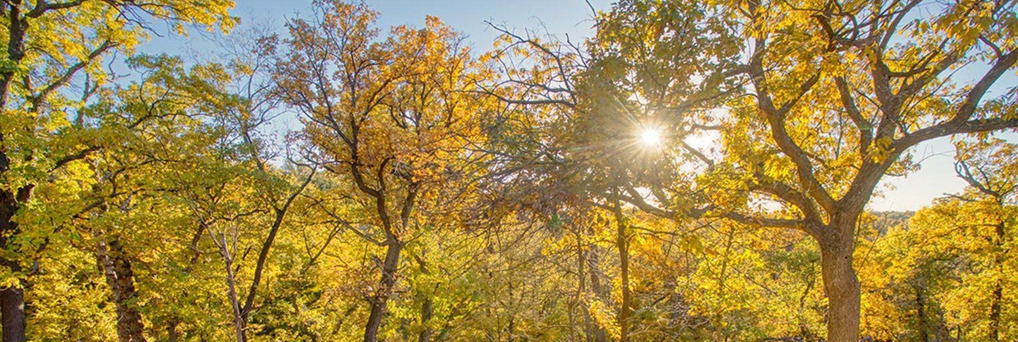 The Sunlight of Christ | Christian Articles | Inspiration Ministries