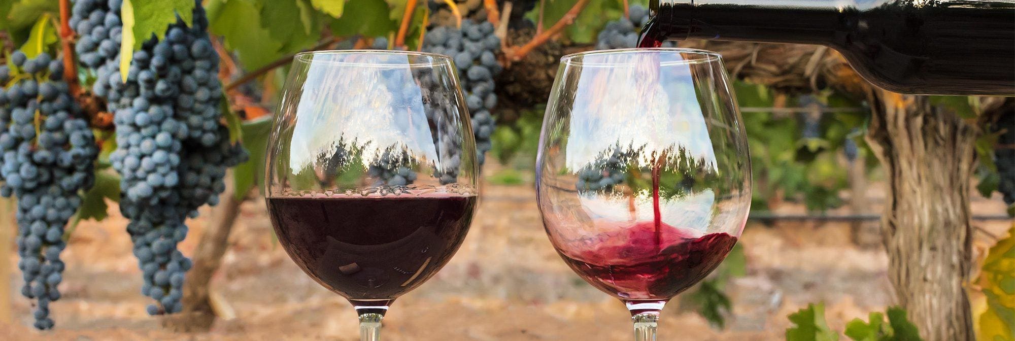 When You Run Out of Wine by Jim Buchan | Spiritual Life | Inspiration ...