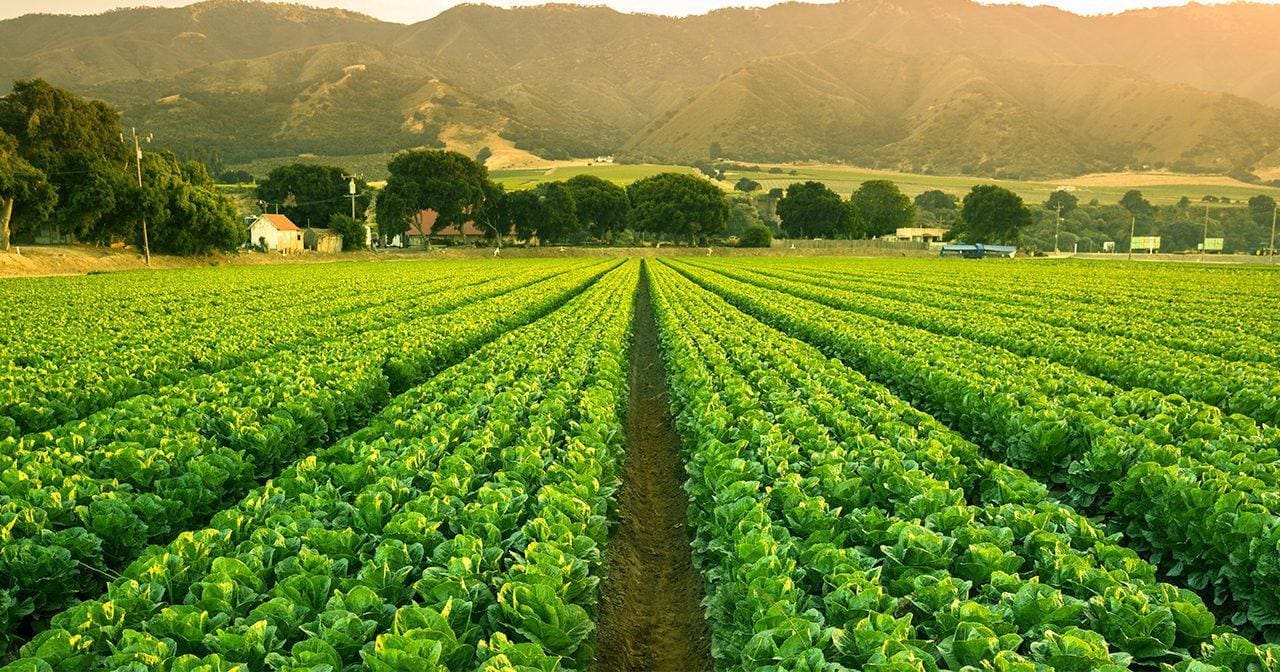 Turn Your Fallow Ground into Favored Ground | Inspiration Ministries