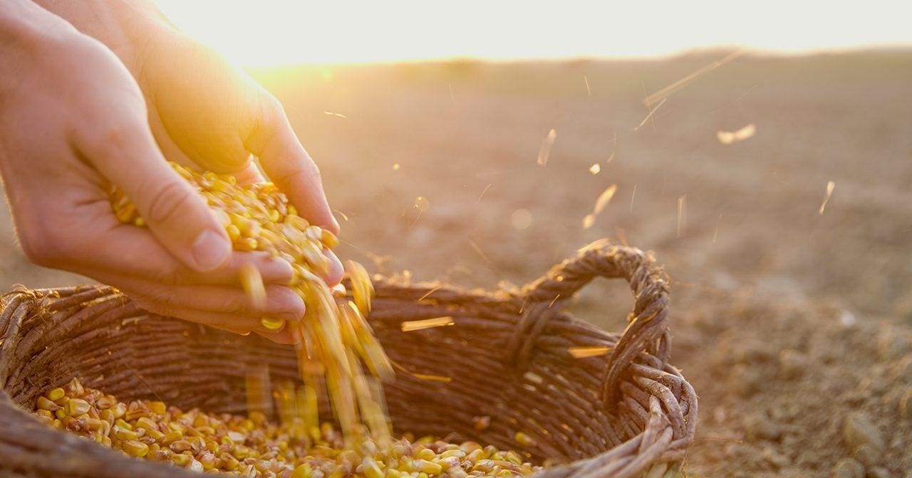 God’s Blessings in a Time of Famine | Inspiration Ministries