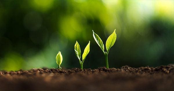 Unsearchable Things | Inspiration Ministries