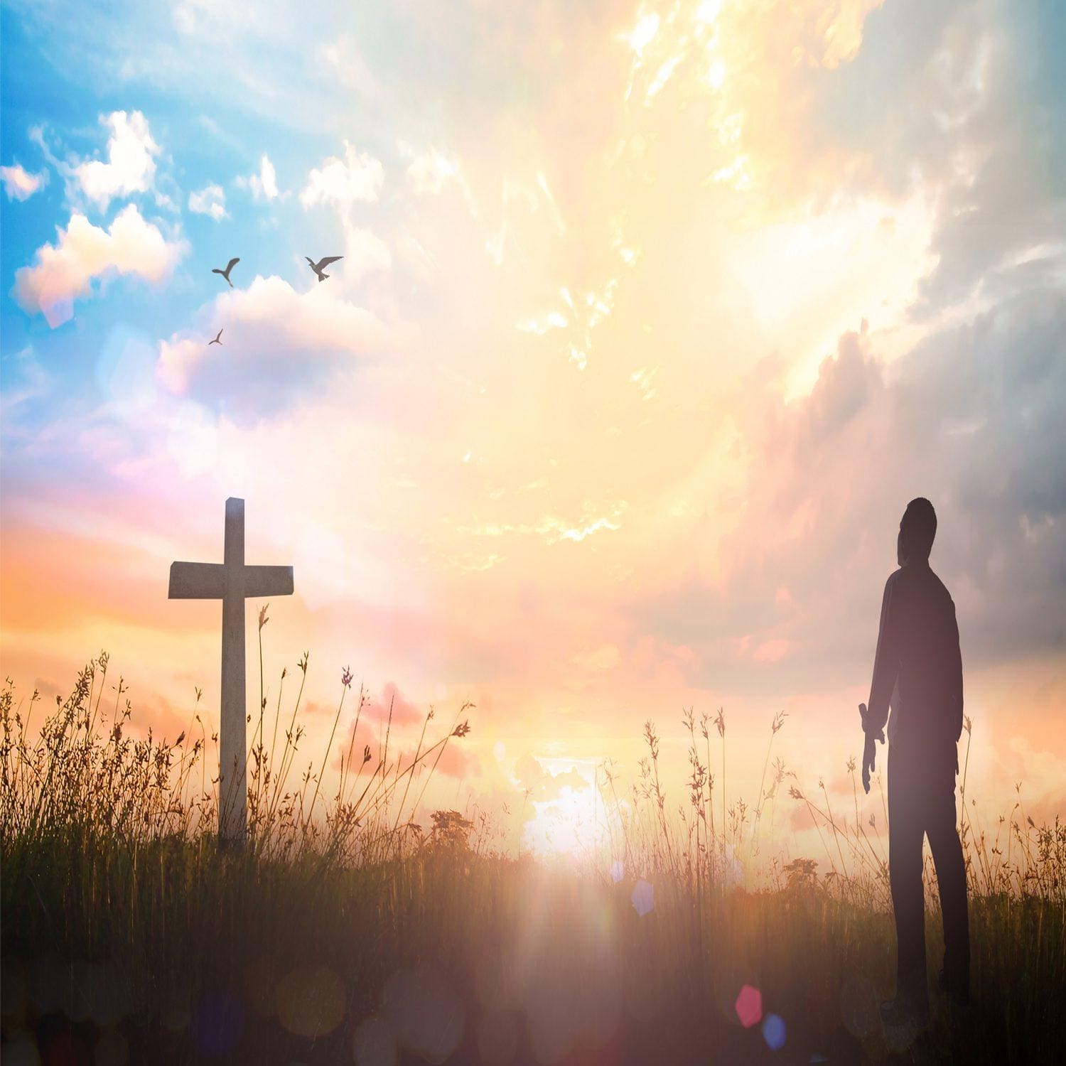 The Impact of Disunity | Inspiration Ministries