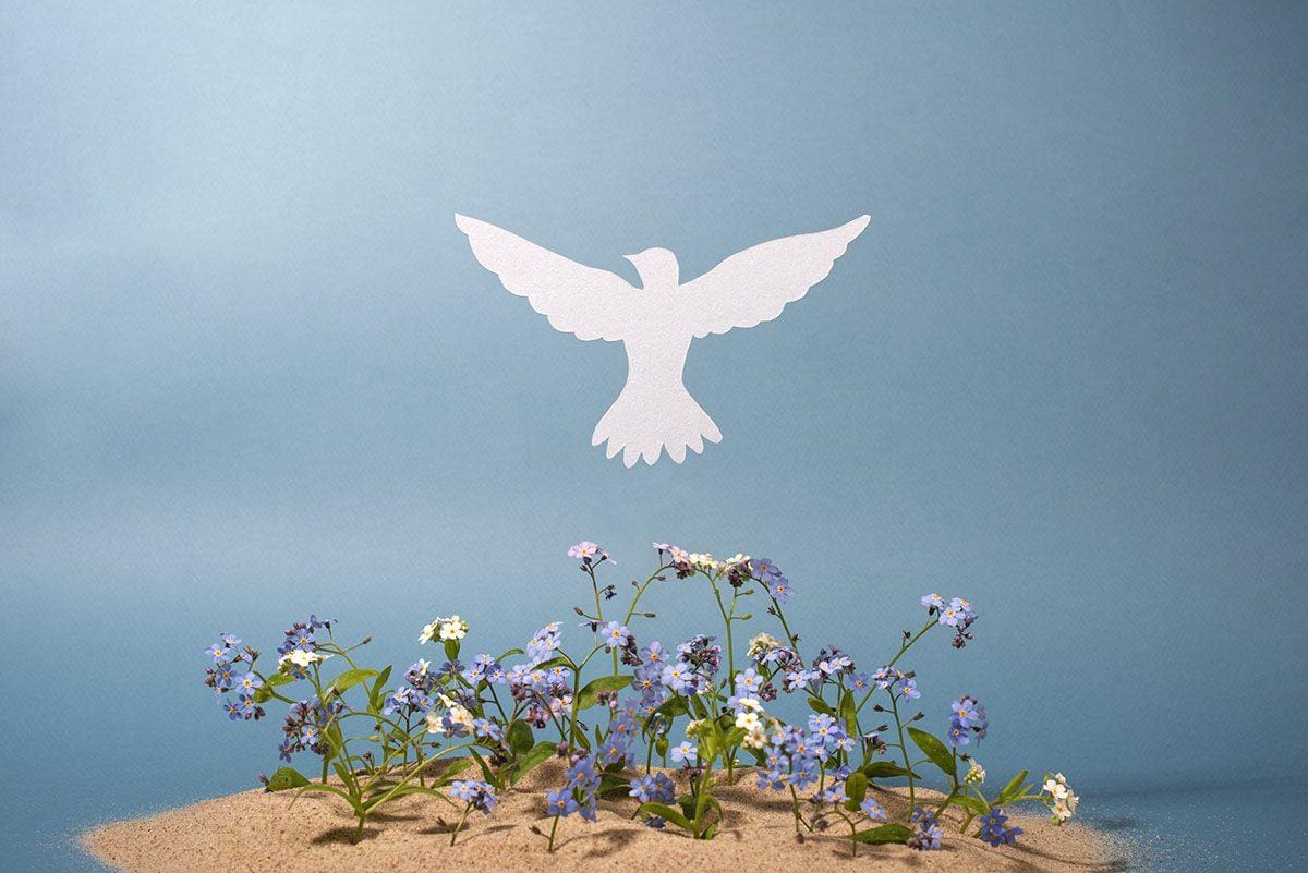 A Personal Pentecost | Inspiration Ministries