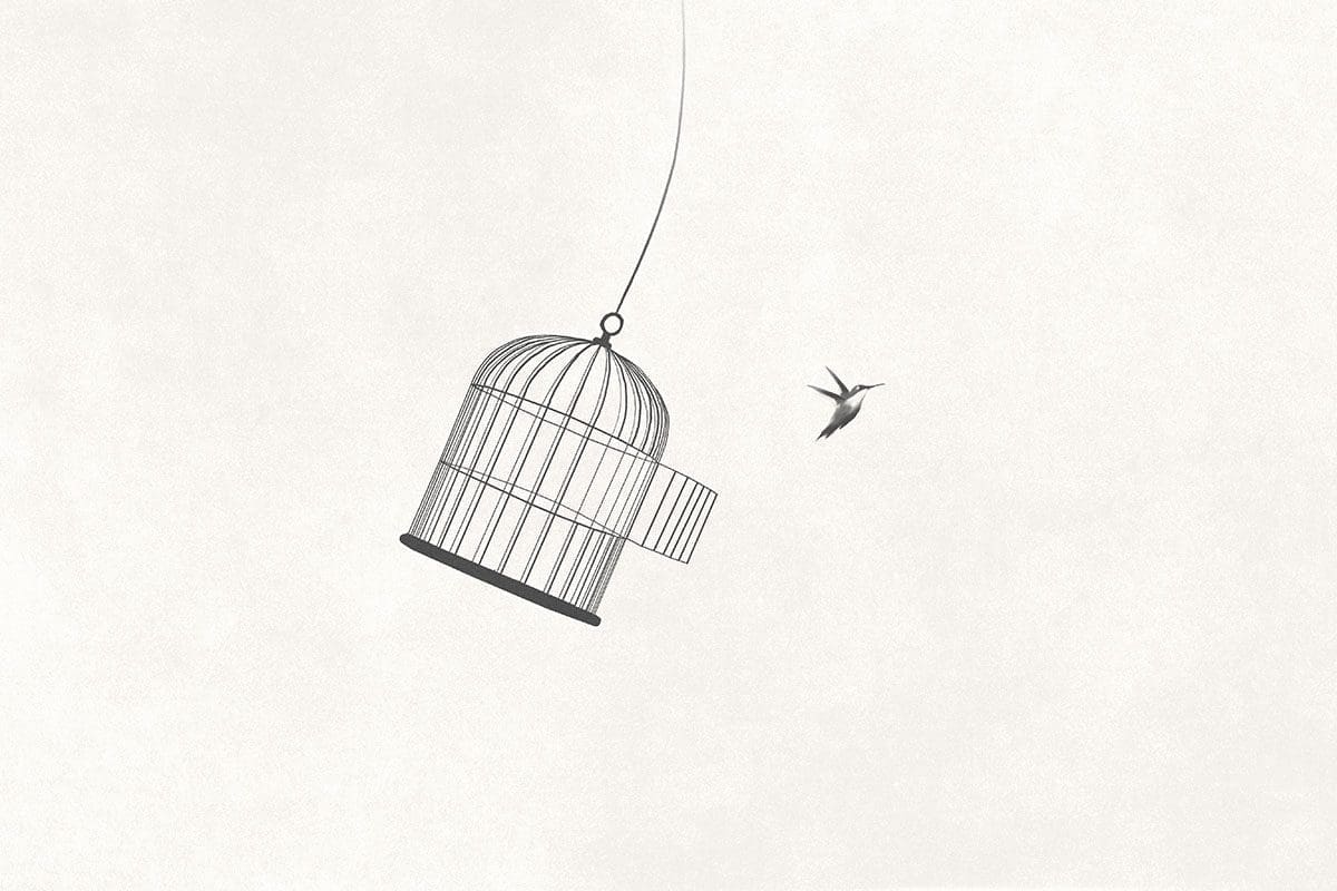 Freedom! | Daily Devotionals | Inspiration Ministries