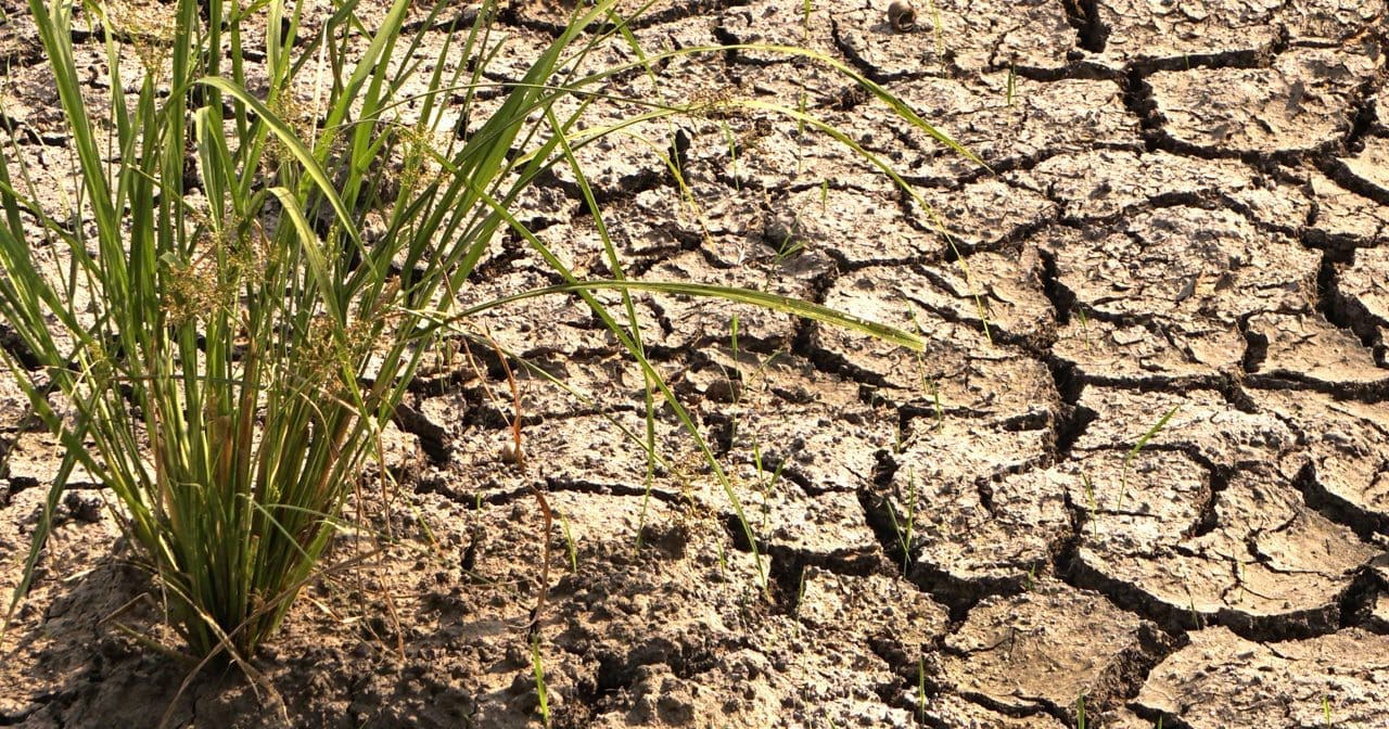 Famine | Inspiration Ministries