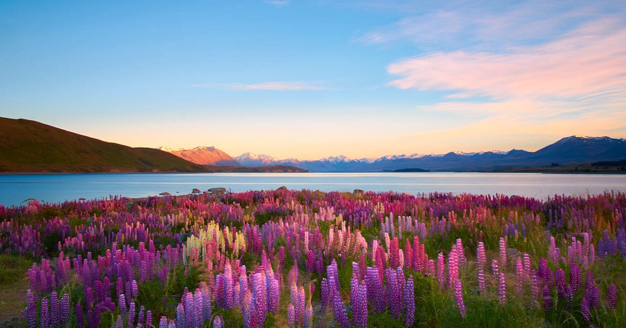 Creation | Inspiration Ministries