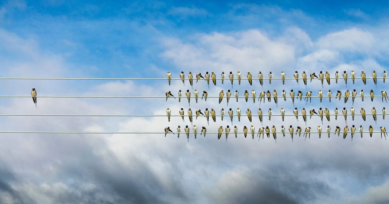 Compromising for Sin | Inspiration Ministries