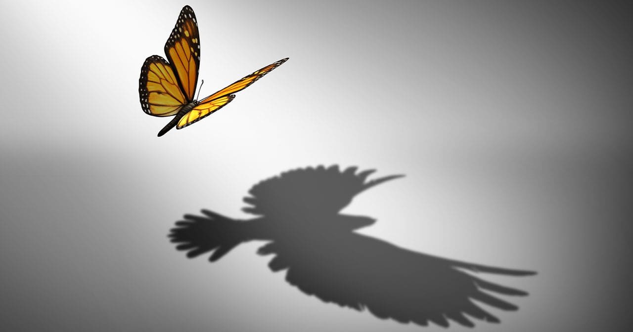 Boldness | Inspiration Ministries