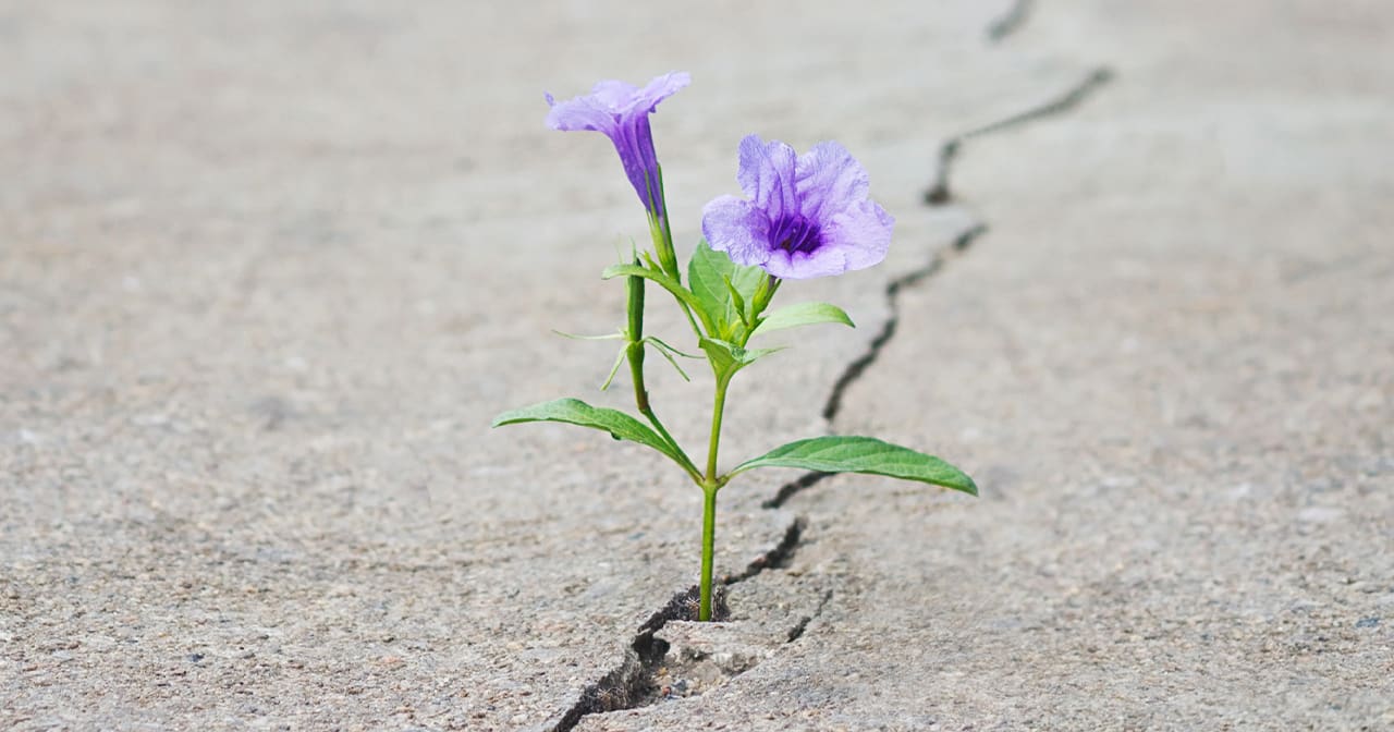 Be Broken for Jesus | Inspiration Ministries