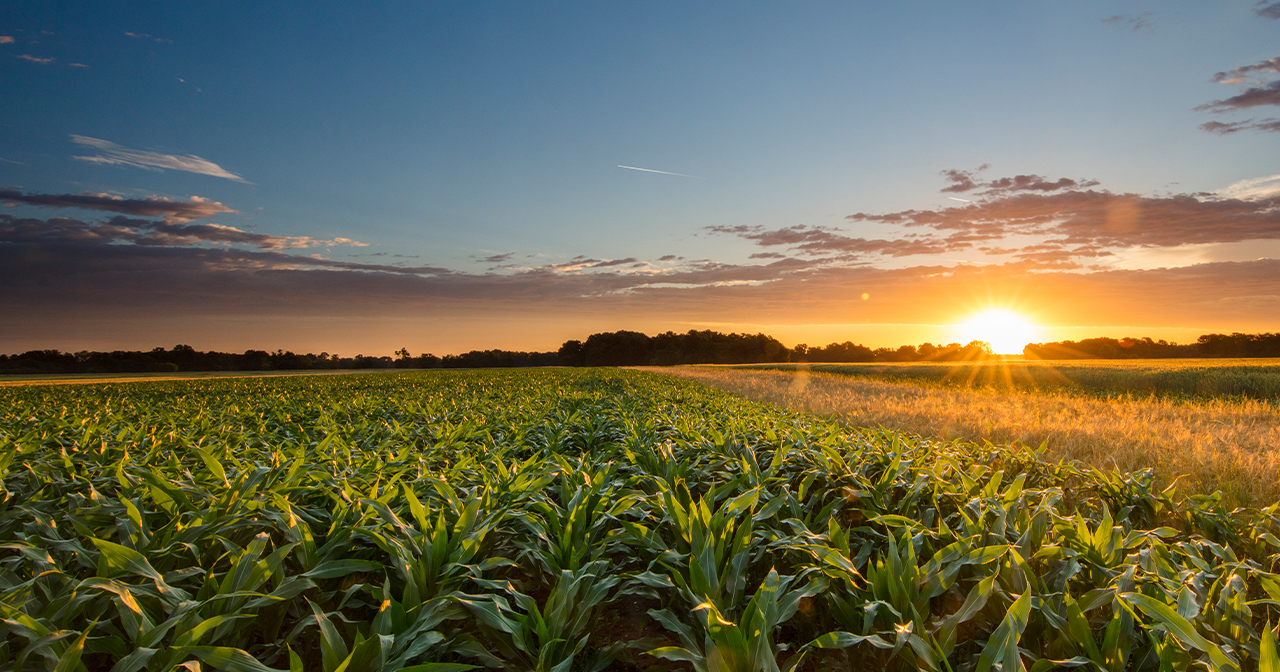 Great Abundance | Daily Devotional | Inspiration Ministries