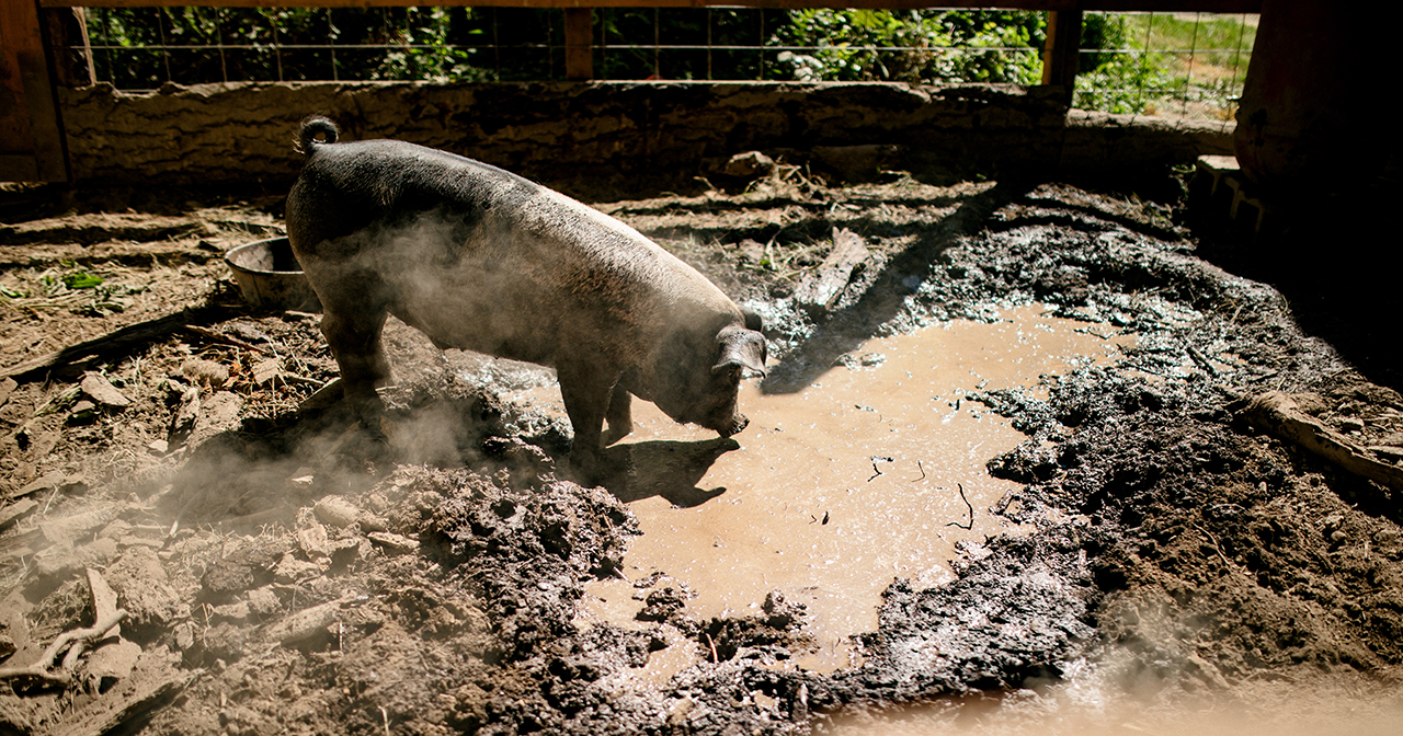 Get Past Your Past | Inspiration Ministries