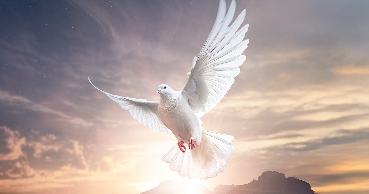 Celebrate Pentecost | Inspiration Ministries