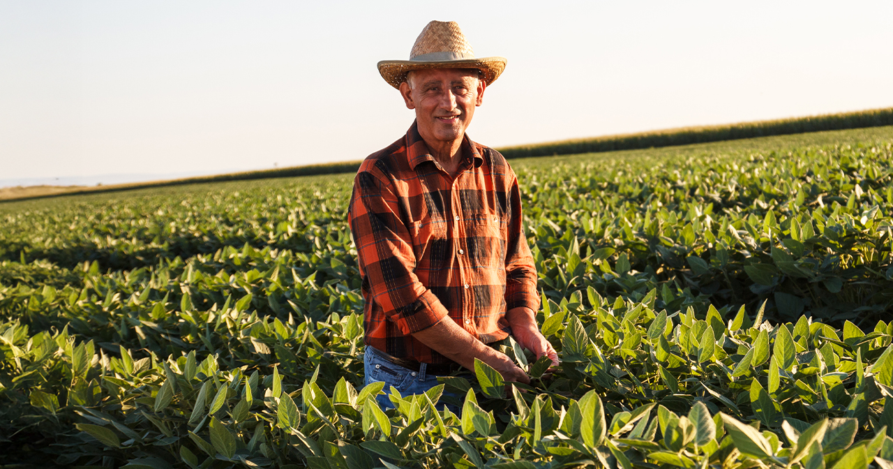 A Time to Reap | Inspiration Ministries