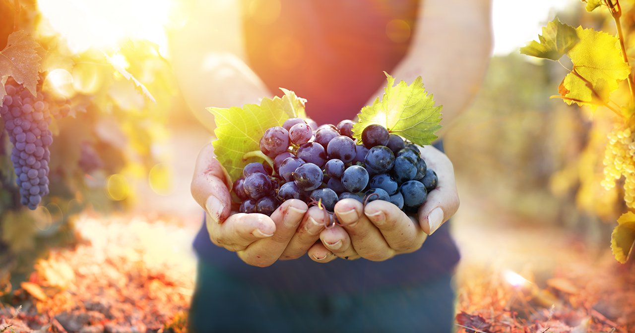 Receive the Power to Prosper | Inspiration Ministries