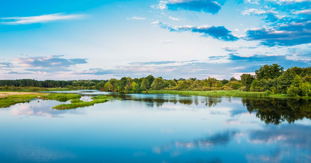 Still Waters: Resting in God's Shepherding Care | Inspiration Ministries