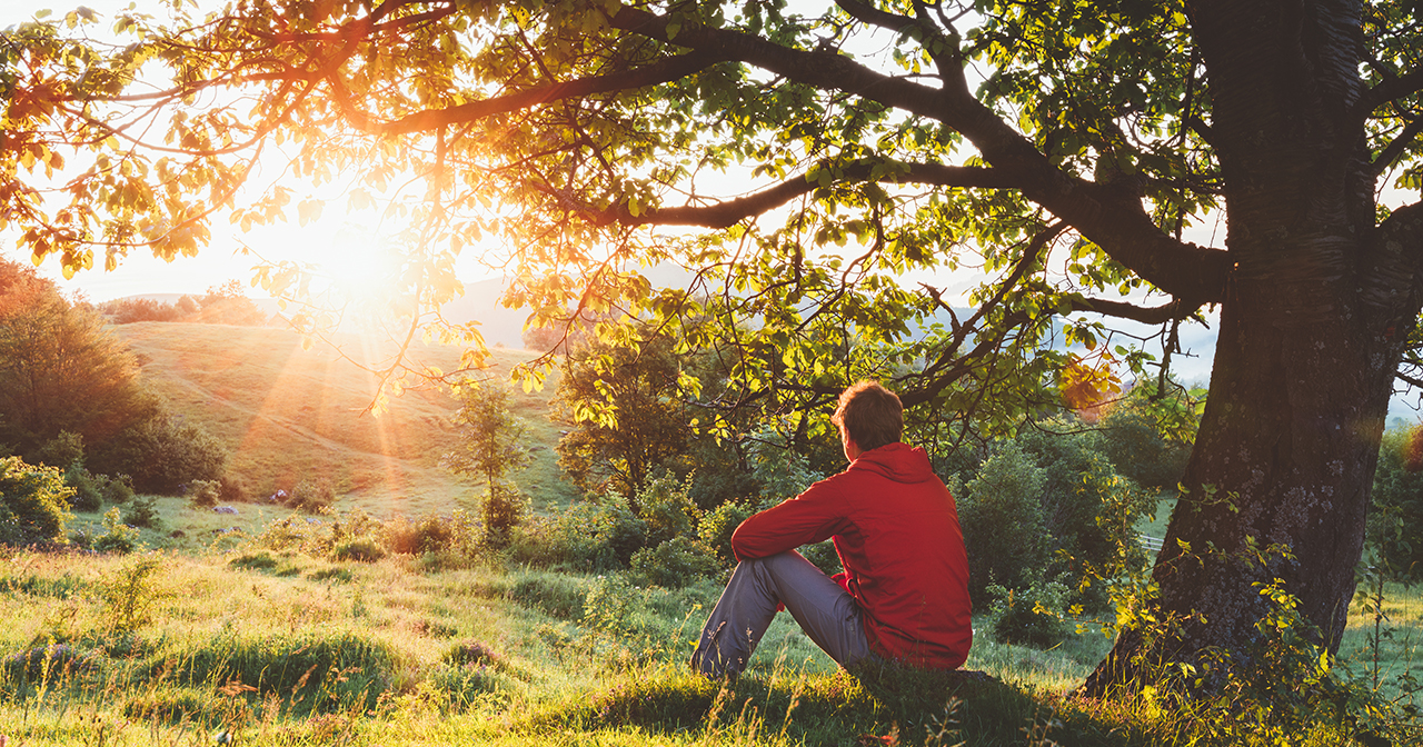 How to Overcome Stress Biblically: Practical Steps to Find God's Peace ...