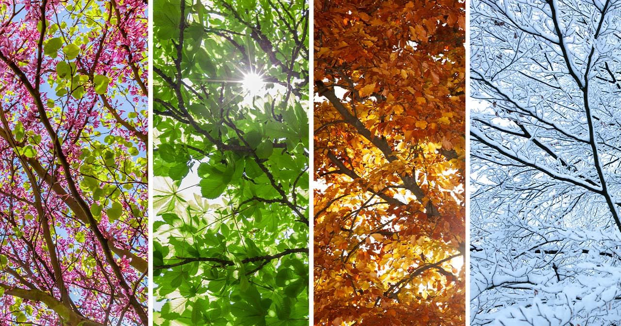 Trusting God Through Every Season | Daily Devotional | Inspiration ...